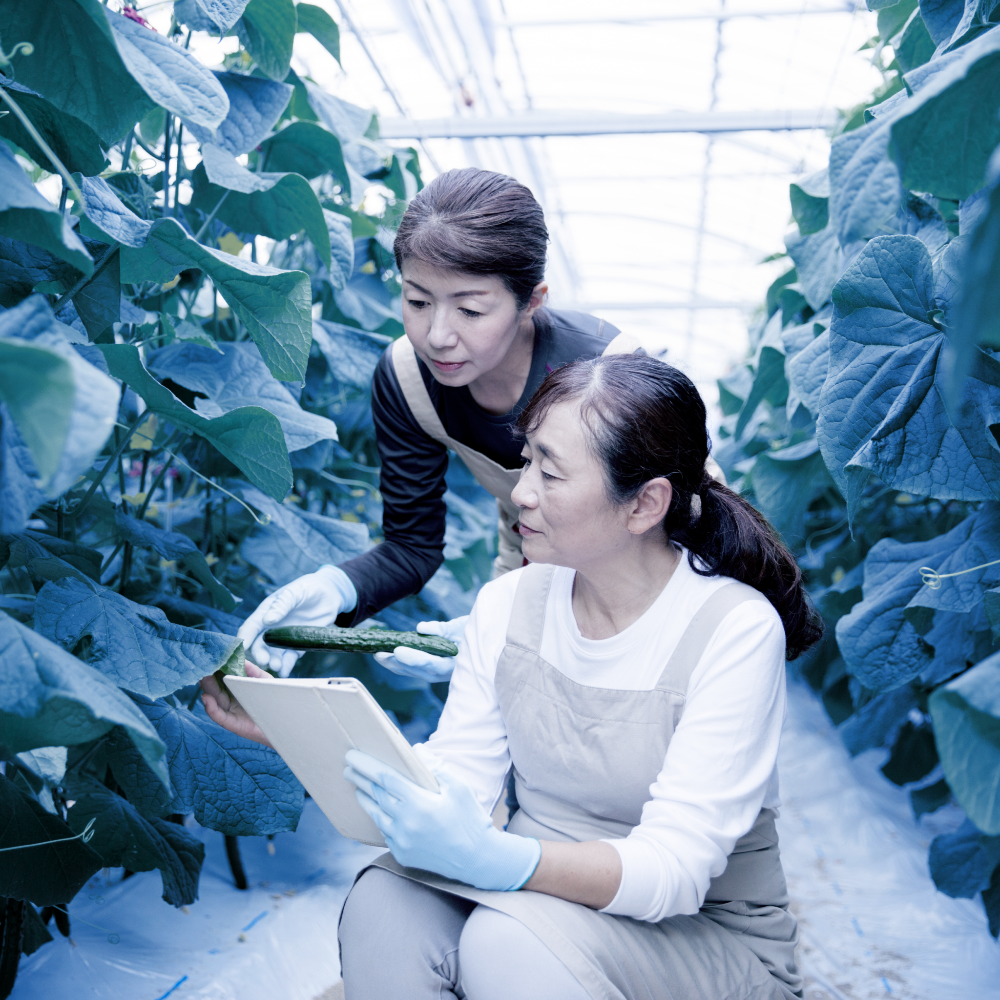 Changemaker Awards 2026 | Agraya